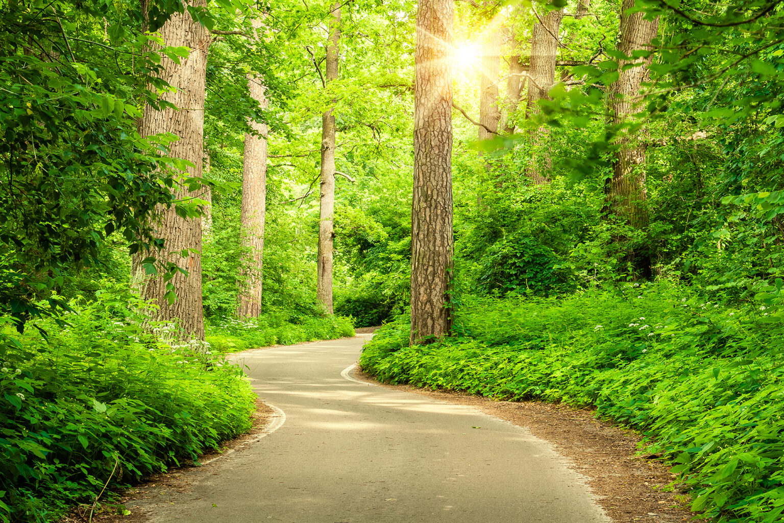 Compacting Know-how - Orwak